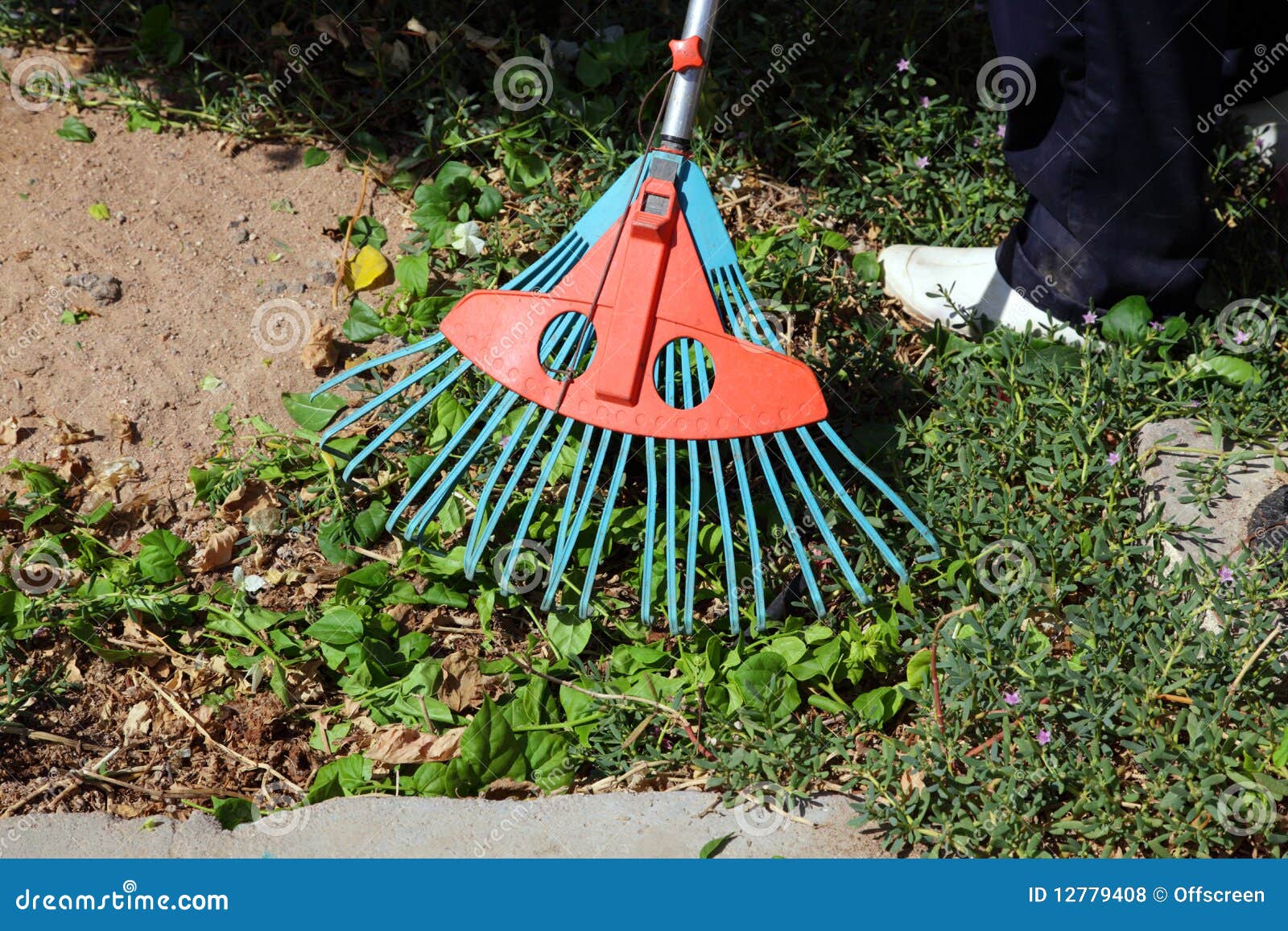 Rake stock photo. Image of outdoors, nature, working - 12779408