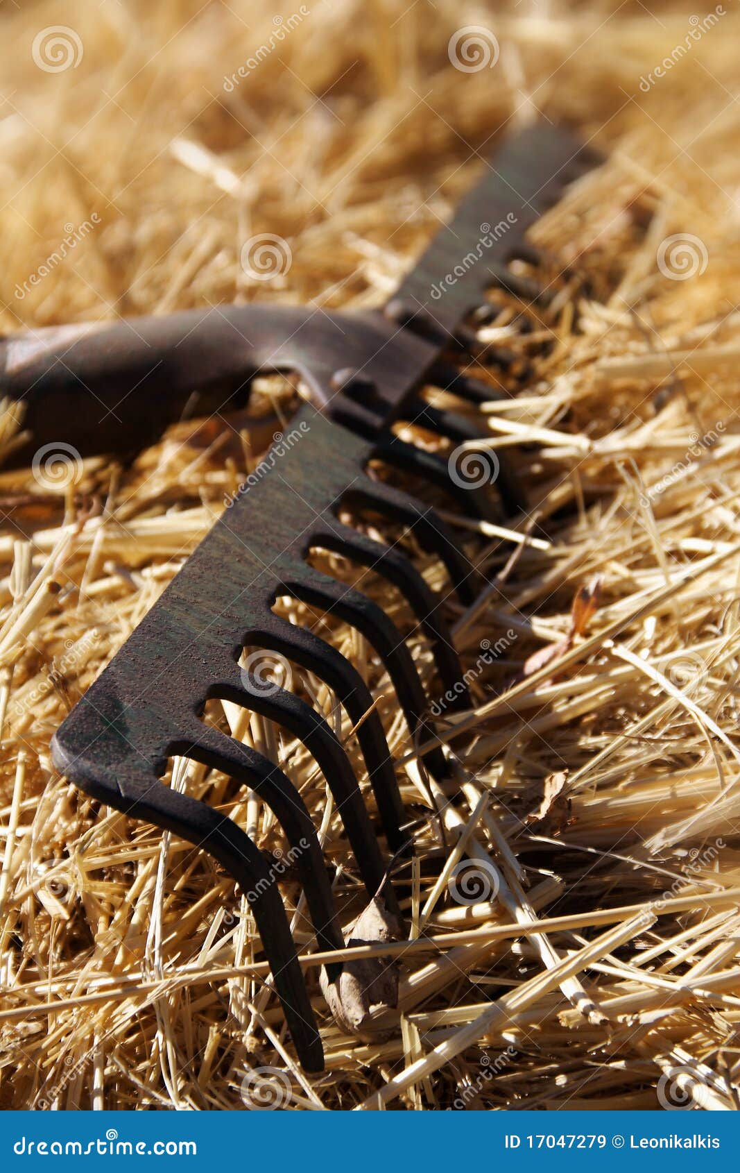 Rake stock image. Image of cutout, farm, detail, human - 17047279