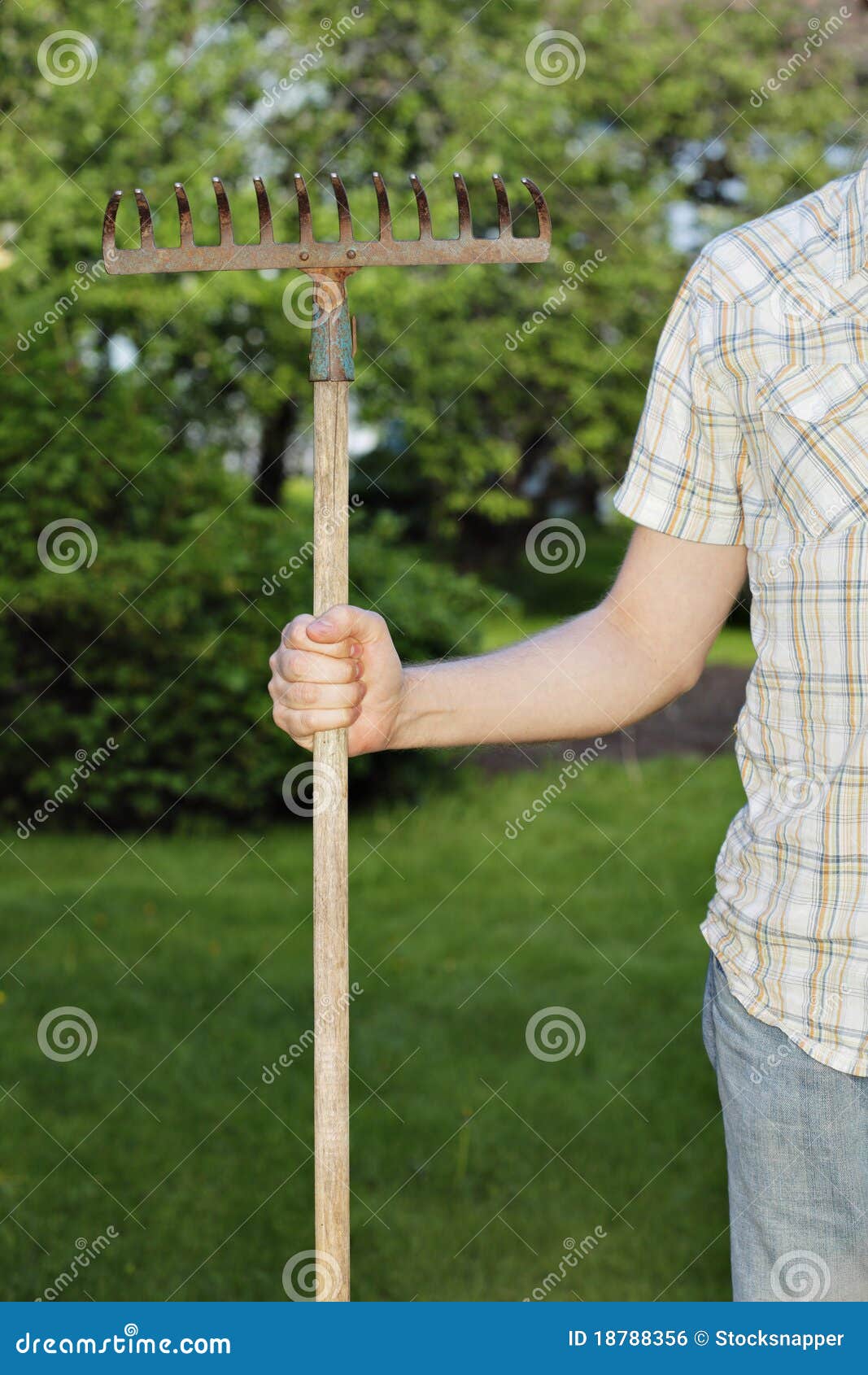 Rake stock photo. Image of rusty, grip, tool, summer - 18788356