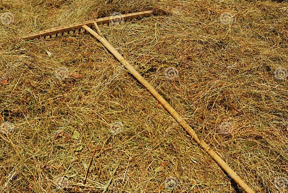 Rake stock photo. Image of straw, rake, wooden, tool - 18830226
