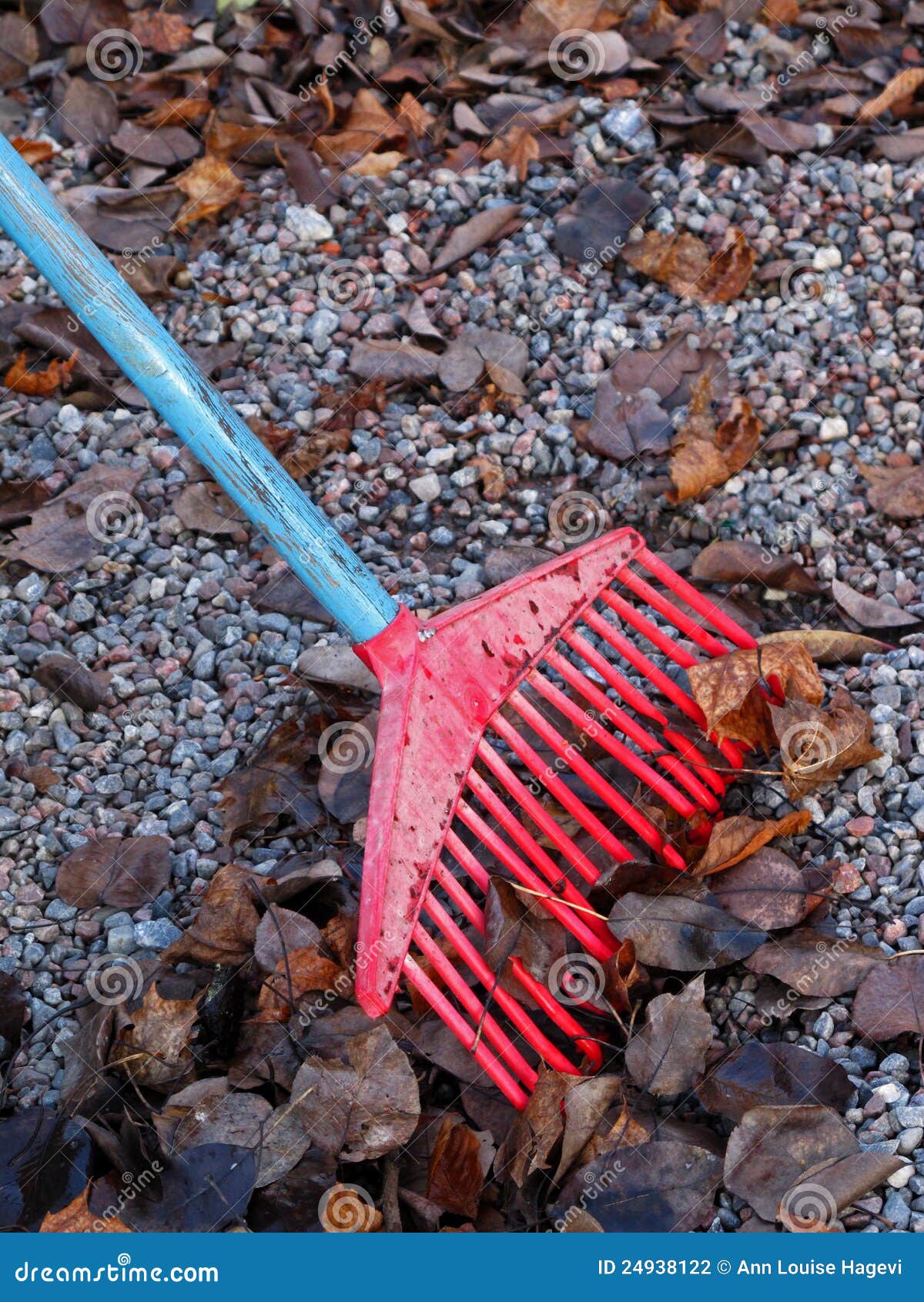 Rake stock photo. Image of leisure, object, handle, pebble - 24938122