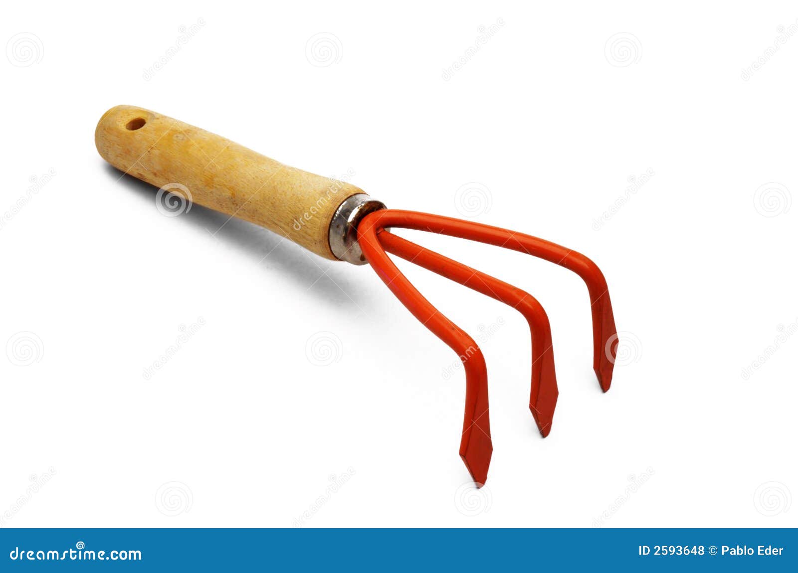 Rake stock photo. Image of plant, background, isolated - 2593648