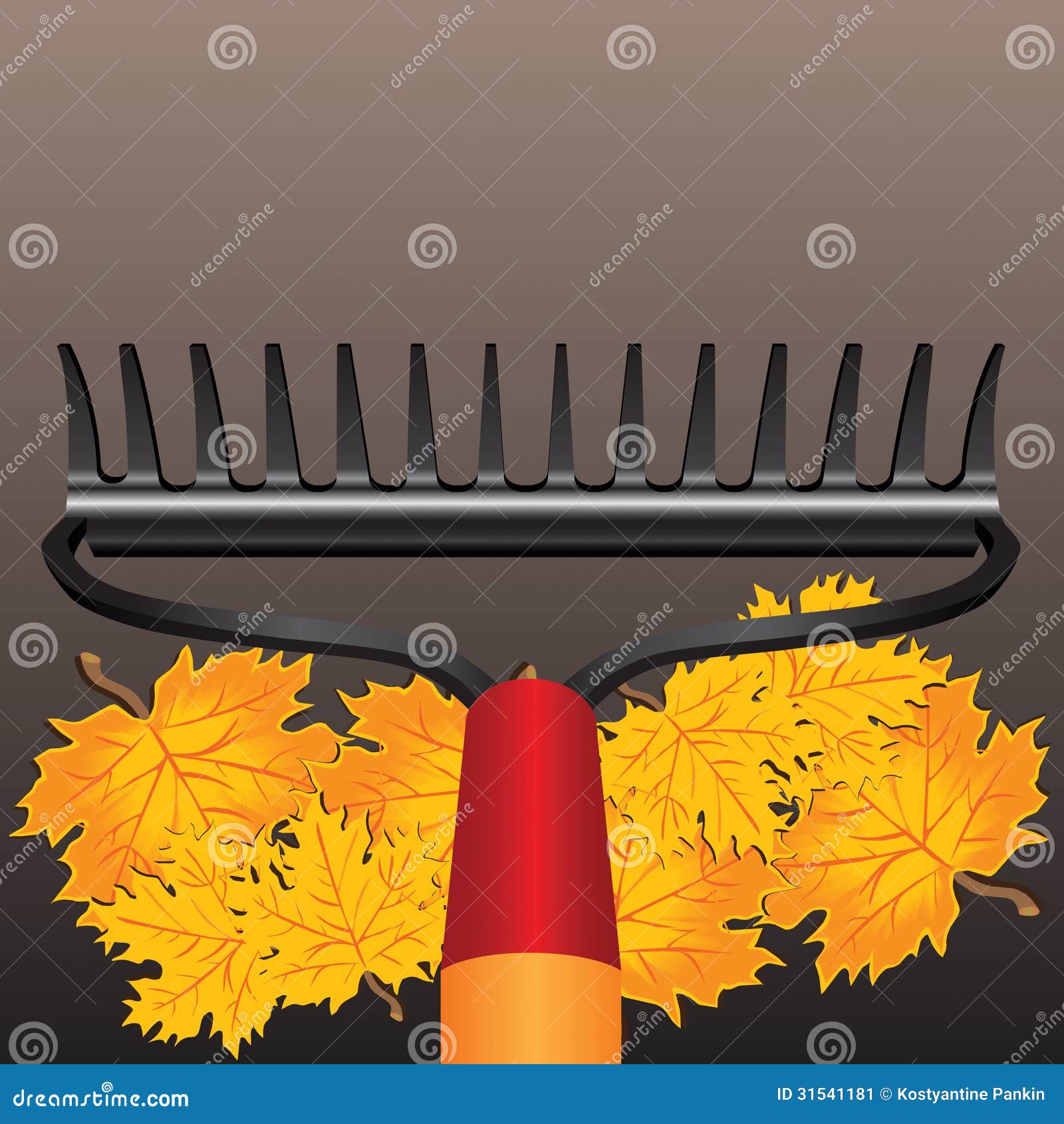 Rake and autumn leaves stock vector. Illustration of season - 31541181