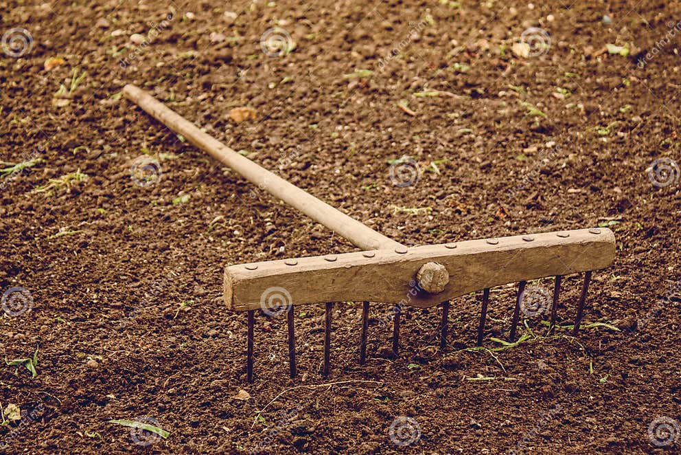 Rake on field stock image. Image of earth, care, environment - 25529649