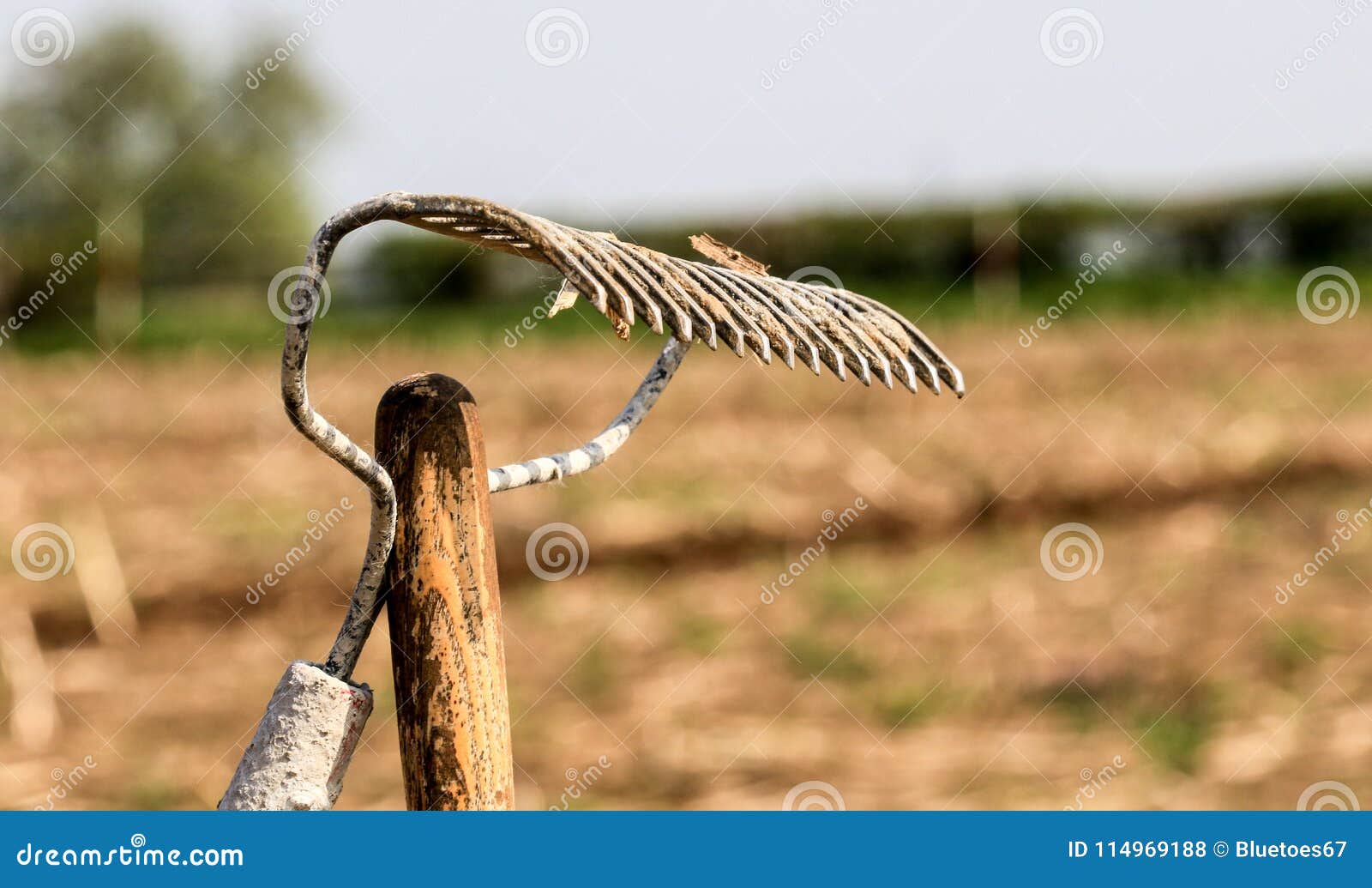 A rake and fork handle stock photo. Image of farm, farming - 114969188