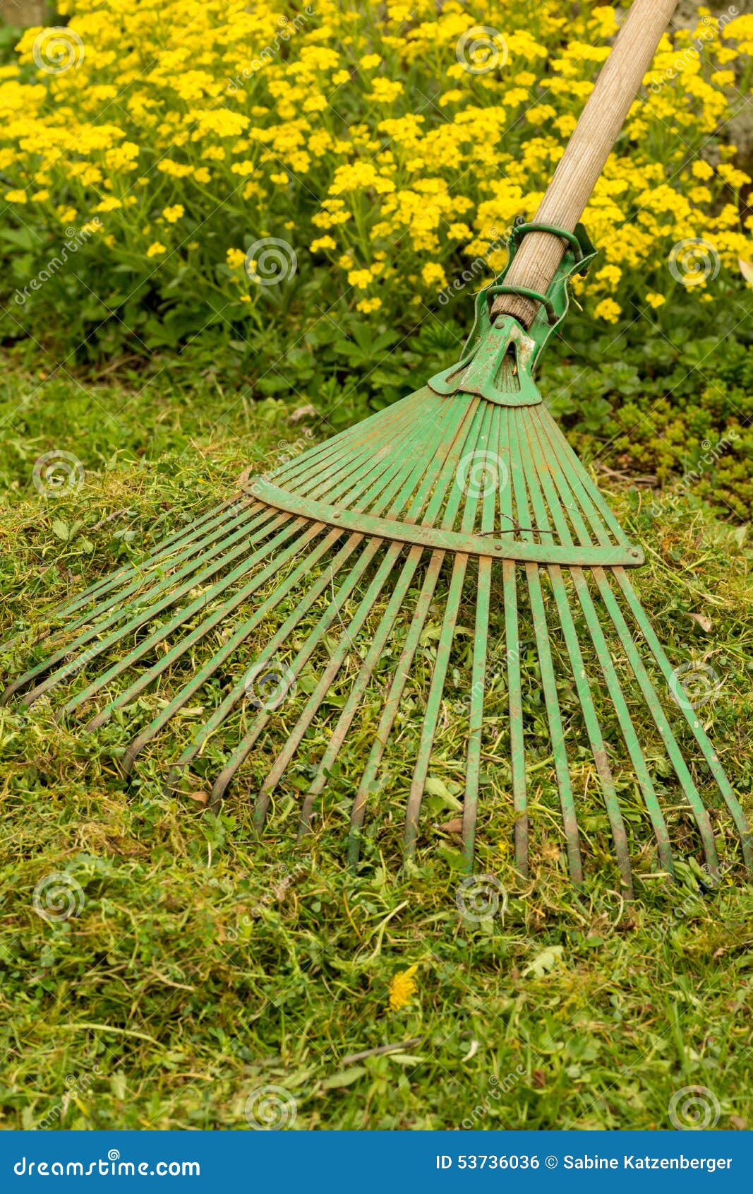 Rake stock photo. Image of scarifying, nature, rake, blue - 53736036