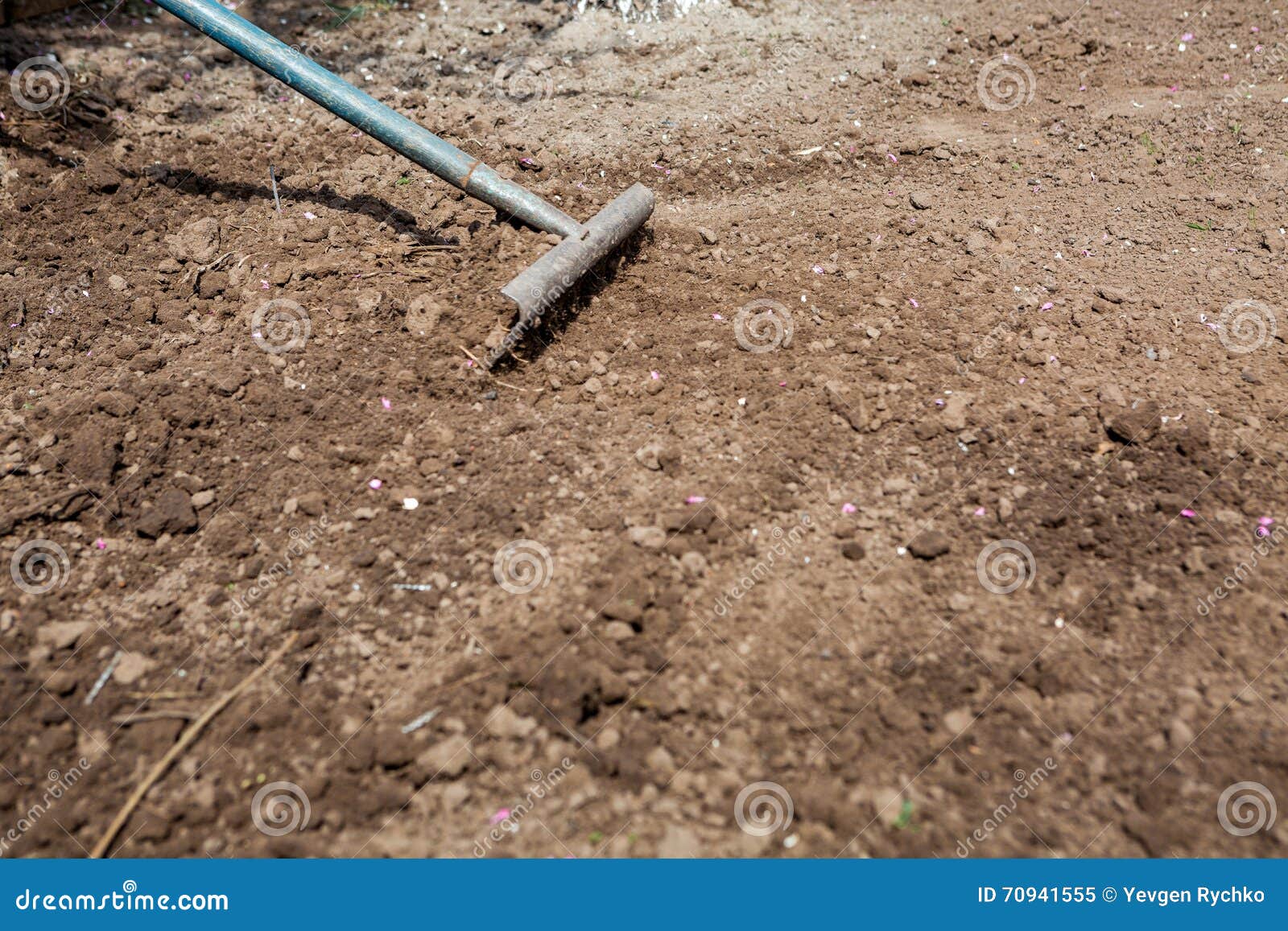 Rake in the garden stock image. Image of outdoors, crop - 70941555