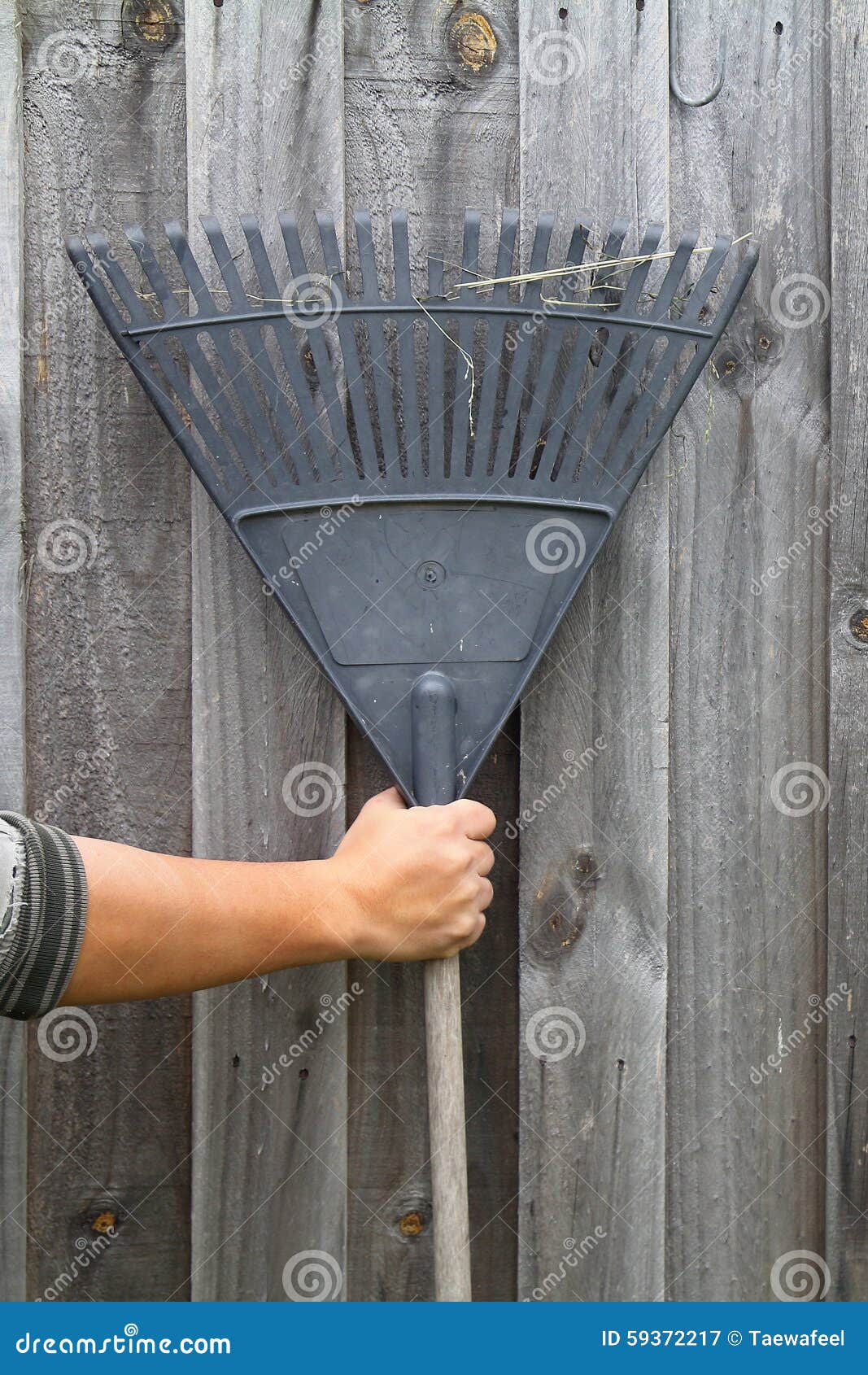 Rake Hanging on a Wooden Floor Stock Image - Image of garden, grass ...