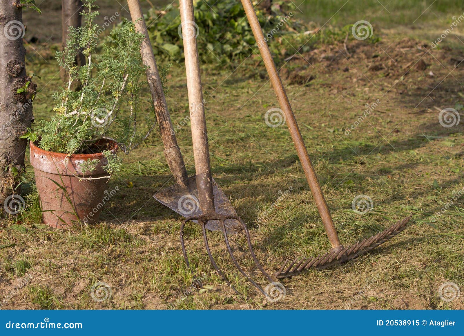 Rake and hoe work tools stock image. Image of plant, seed - 20538915