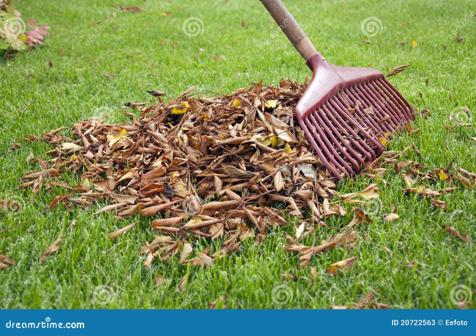 Leave Rake, Lopper, Hedge Shear, Scissors, Broom Royalty-Free Stock ...