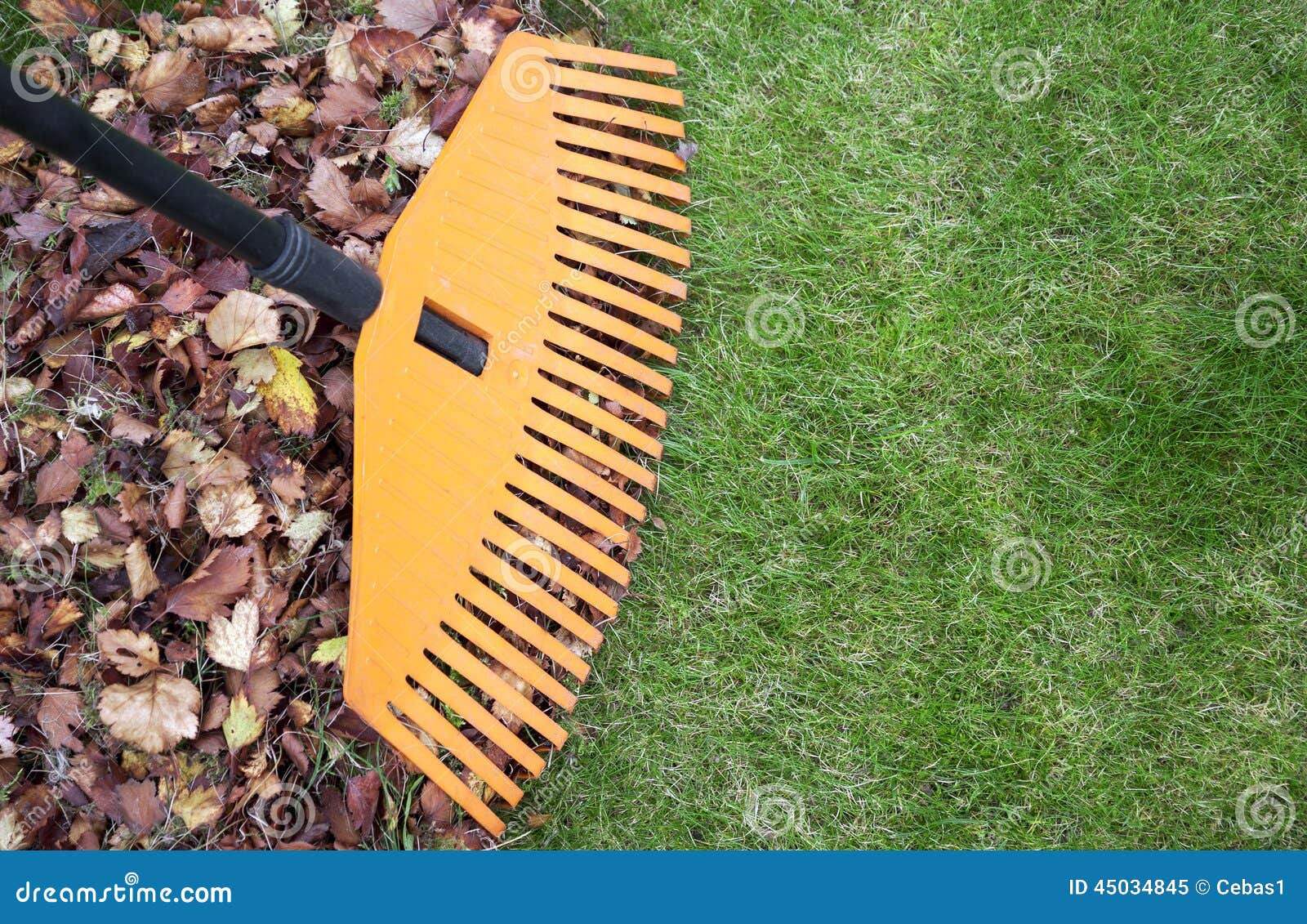 Rake and leaves stock image. Image of outdoor, fall, piled - 45034845