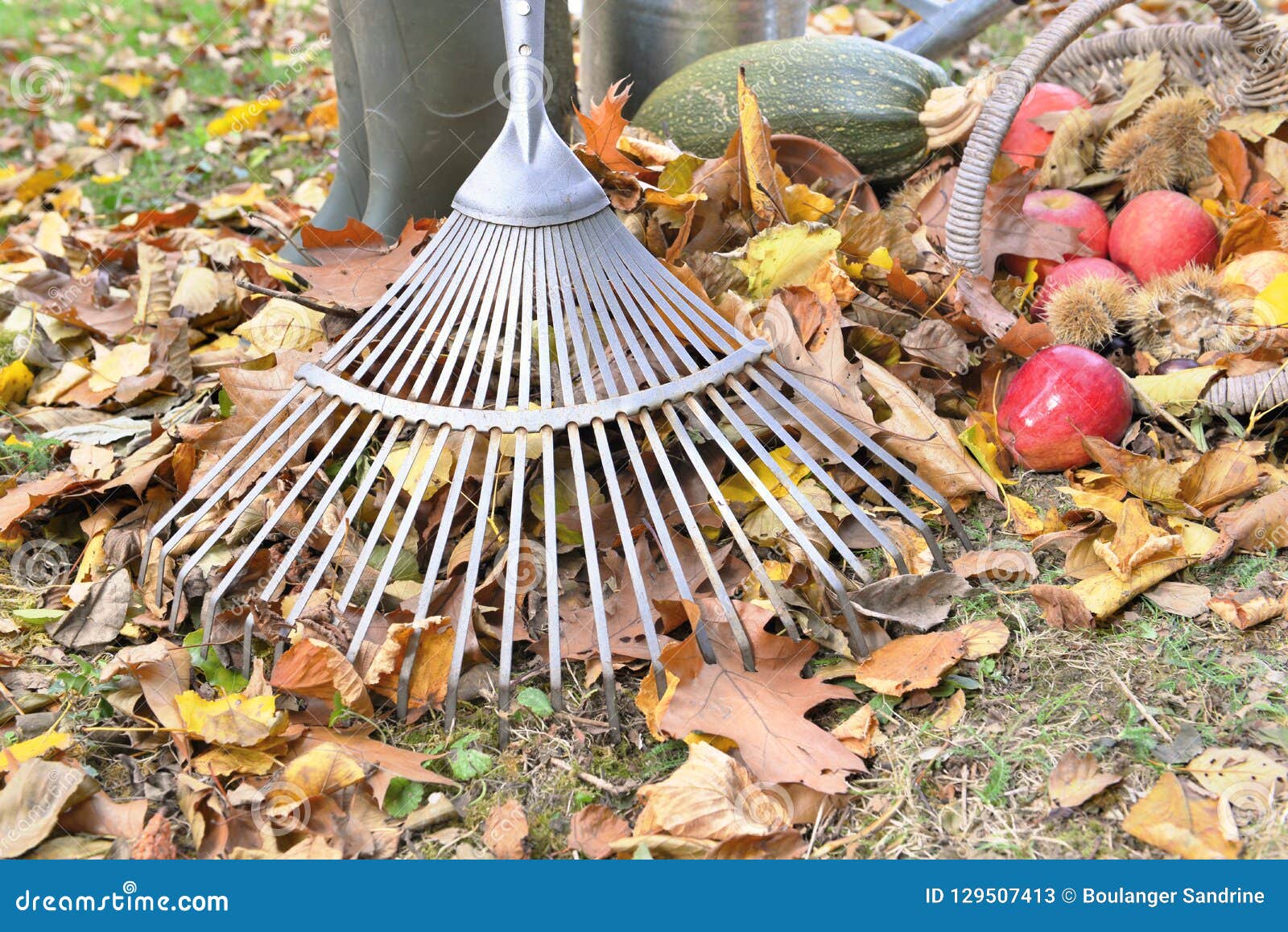 Rake in leaves on garden stock image. Image of yard - 129507413