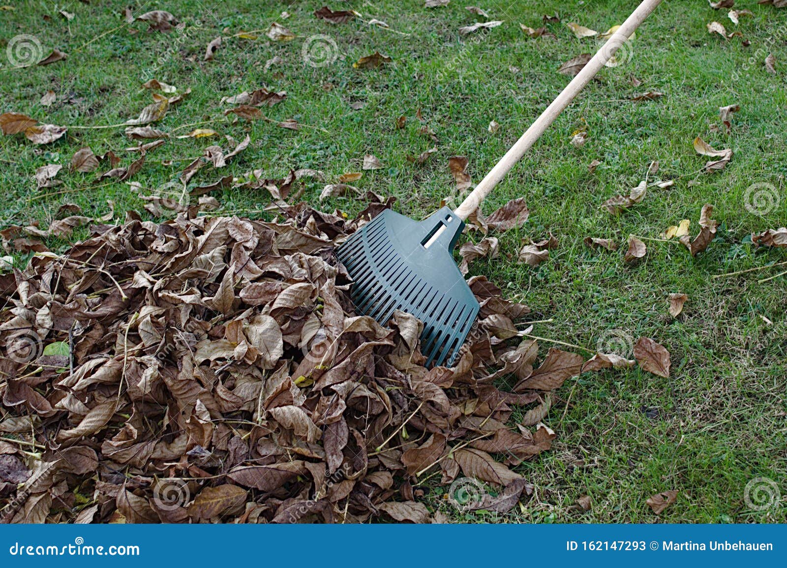 Rake The Leaves Royalty-Free Stock Image | CartoonDealer.com #44767918