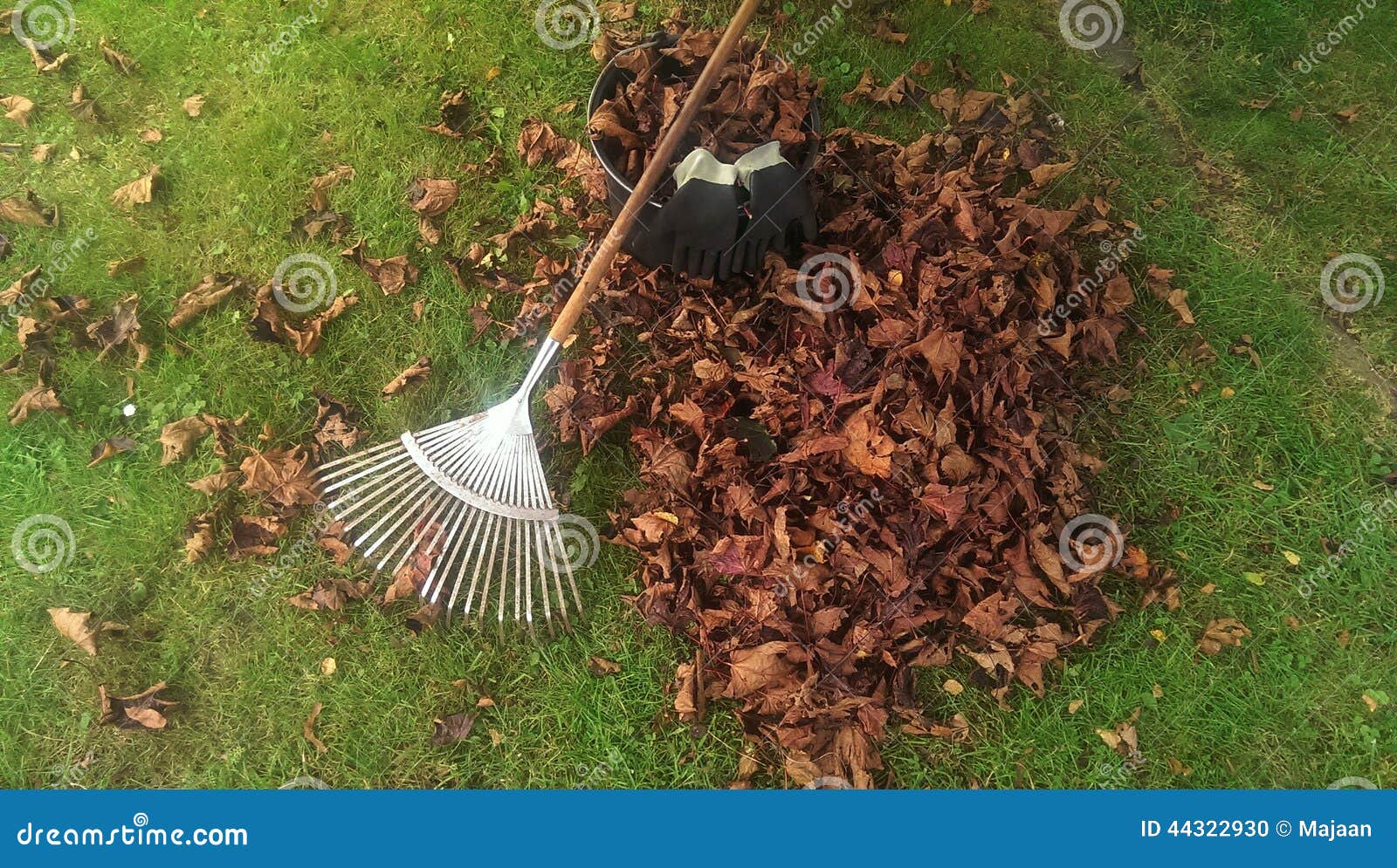 Rake leaves stock photo. Image of wood, leav, brown, sweep - 44322930