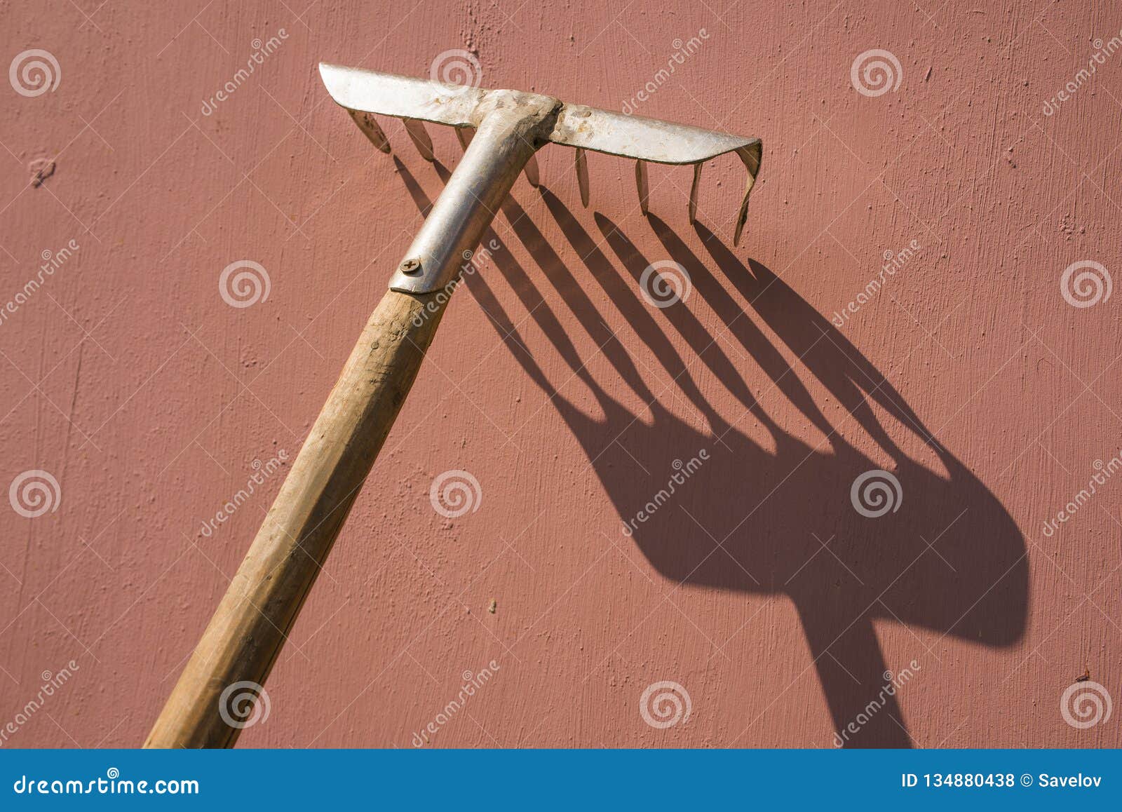 Rake at the Metallic Pink Wall Stock Photo - Image of equipment, tool ...