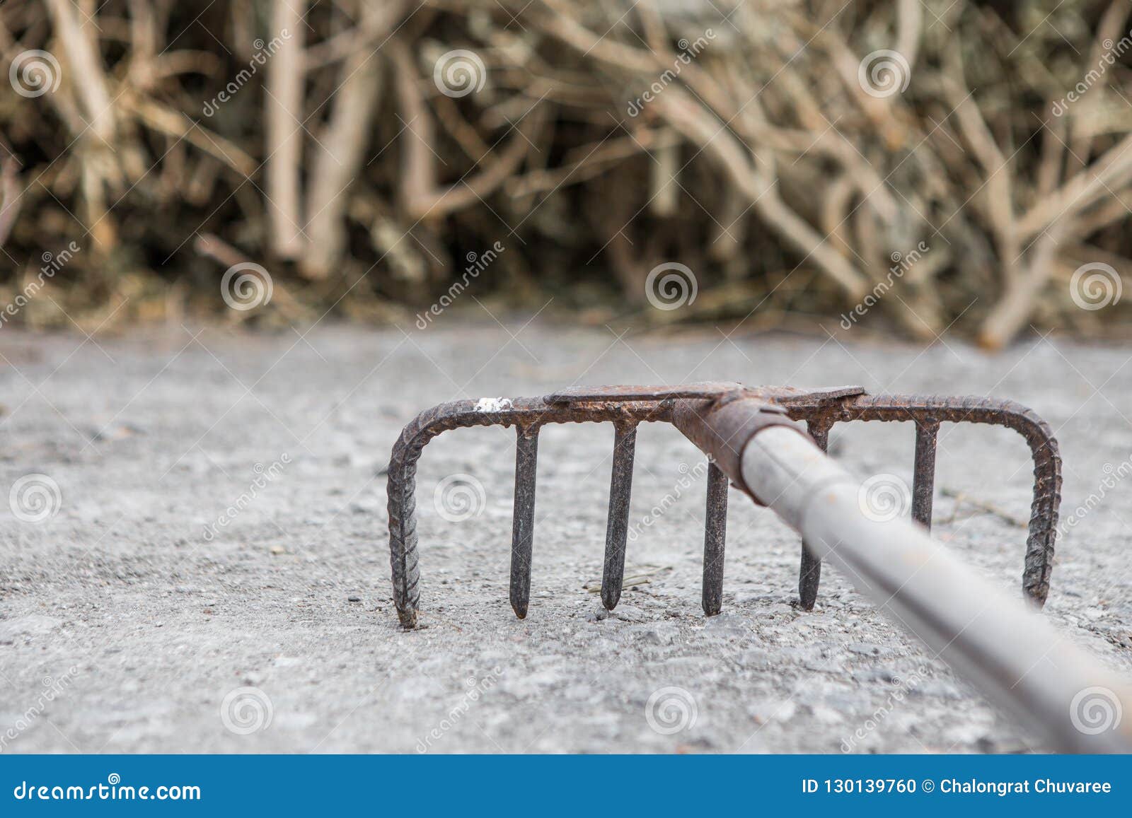 The rake is rusty stock photo. Image of landscape, handle - 130139760