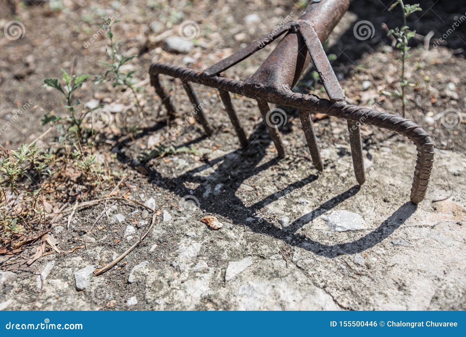 The Rake is Rusty with Piles of Dry Branches on the Floor Stock Photo ...