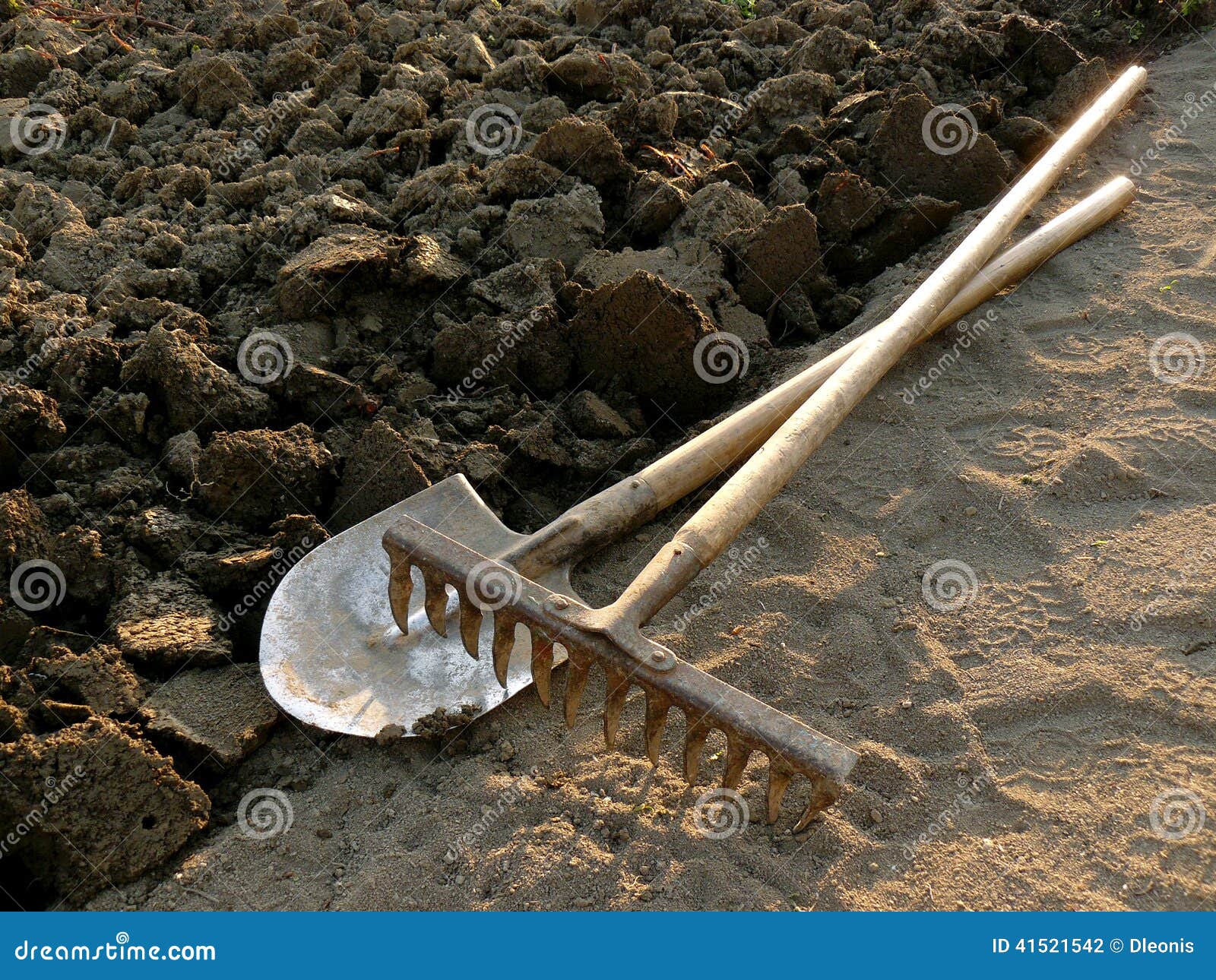 Rake and spade stock photo. Image of plow, tools, plough - 41521542