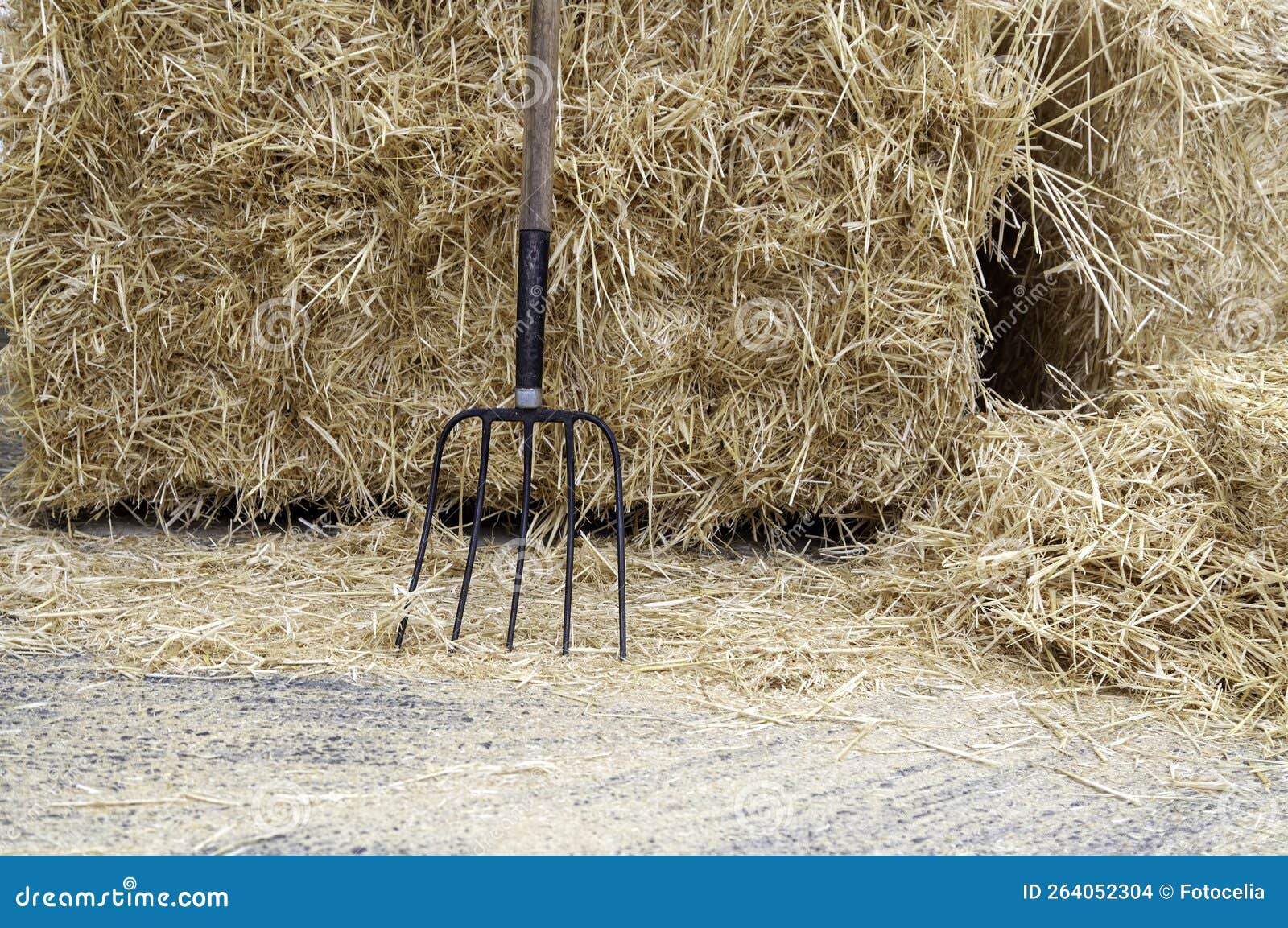 Rake in the straw stock photo. Image of rural, lawn - 264052304