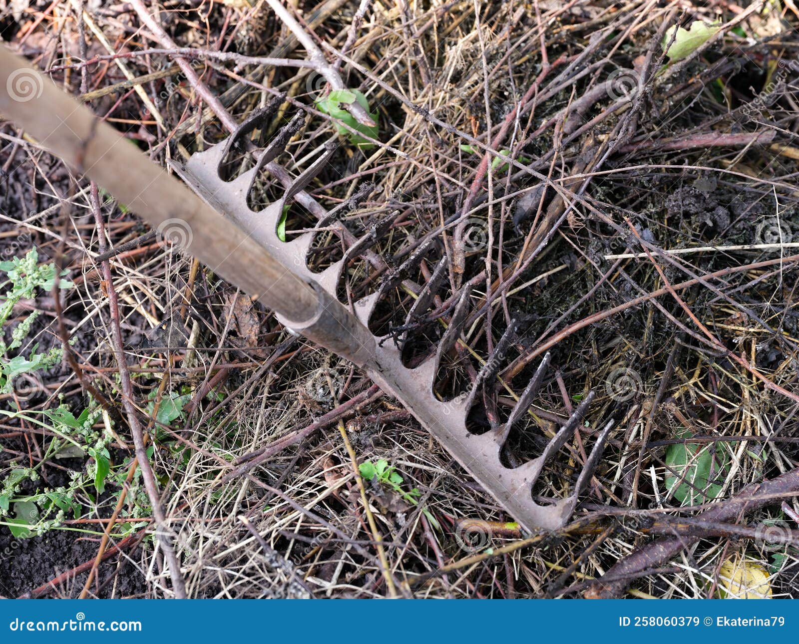 A Rake on Top of a Pile of Dry Branches and Grass Stock Image - Image ...
