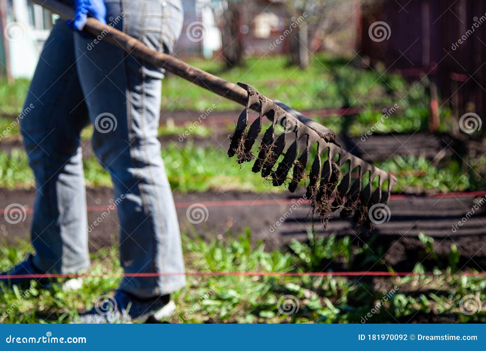 Rake Work on a Garden Plot on a Spring Day Stock Photo - Image of grass ...