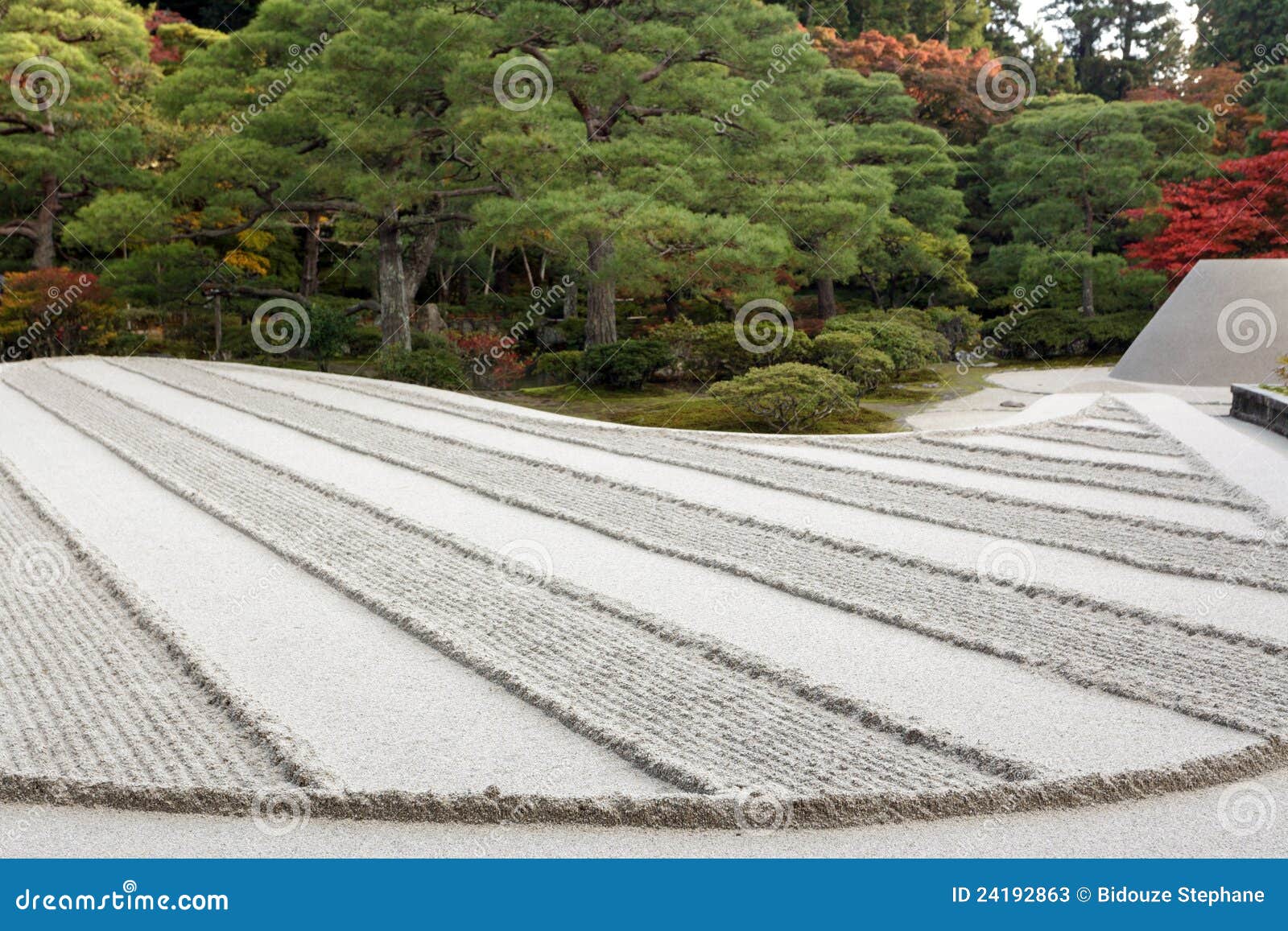 Raked sand zen garden stock image. Image of ginkaku, rake - 24192863