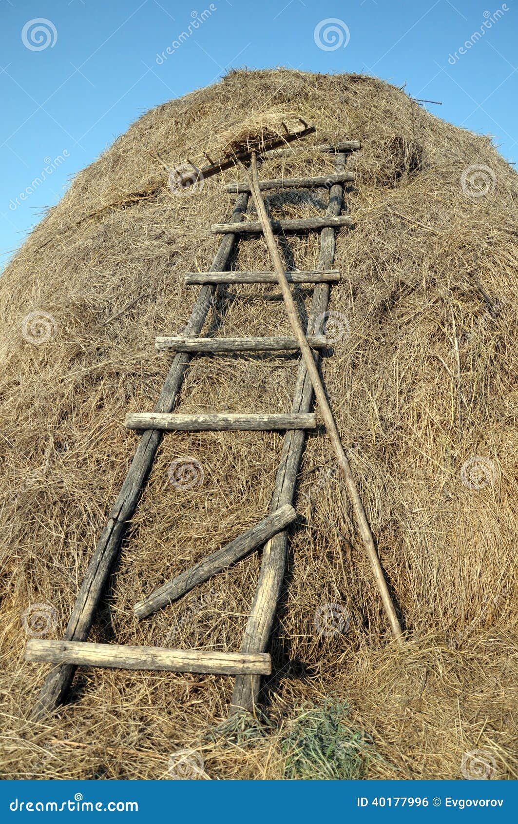 Rakes and Stairs To the Haystack Stock Photo - Image of garden, crop ...