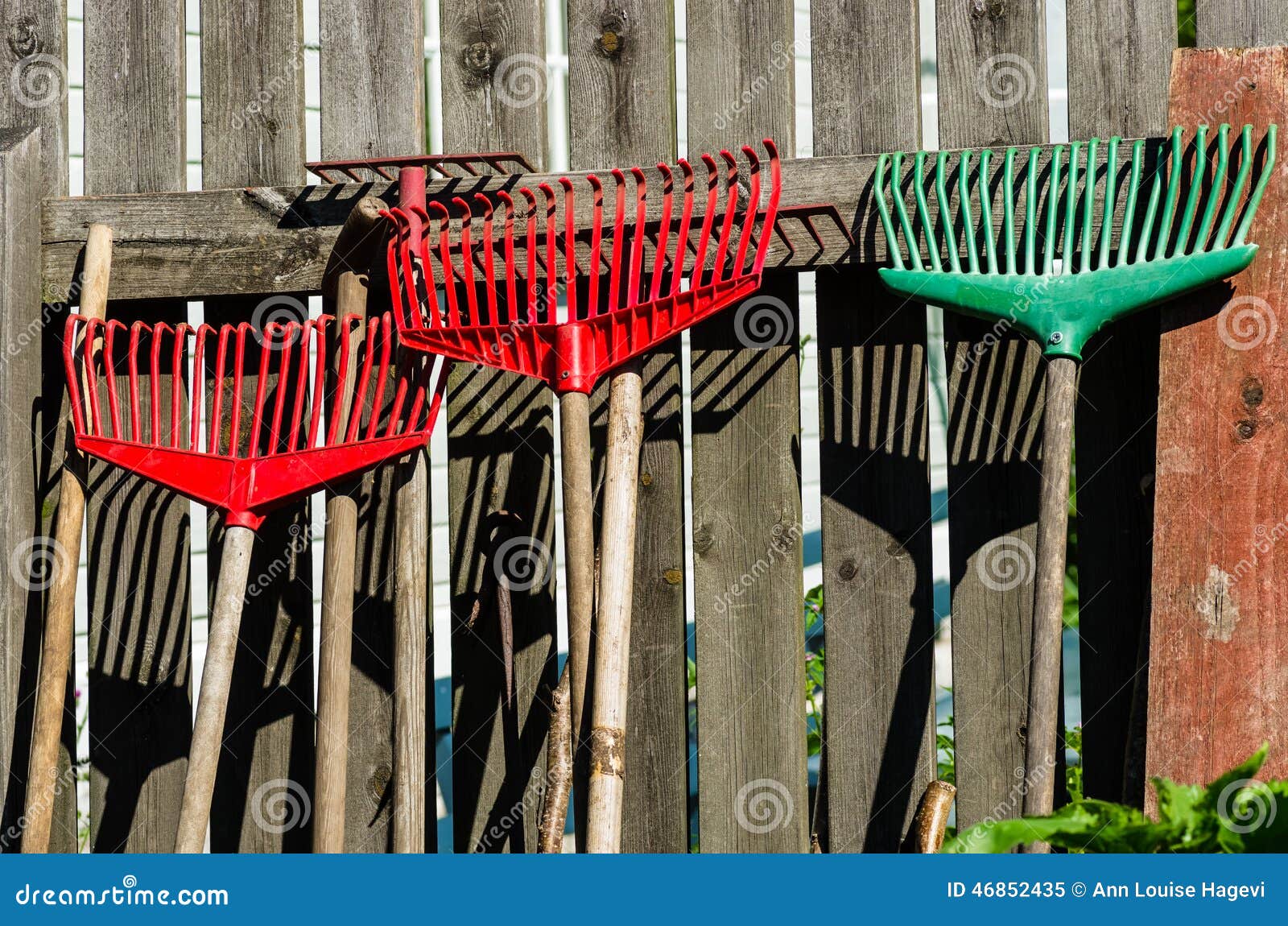 Rakes stock image. Image of rakes, fence, tool, sweden - 46852435