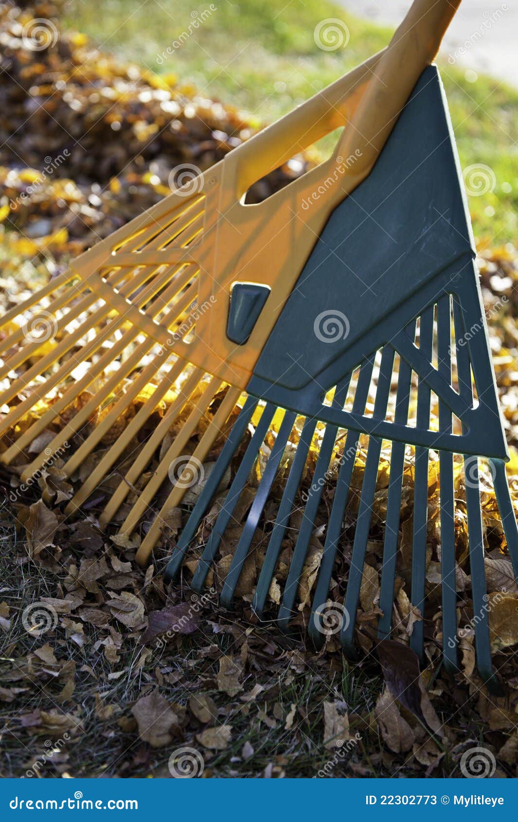 Raking stock image. Image of home, leaves, vertical, yard - 22302773