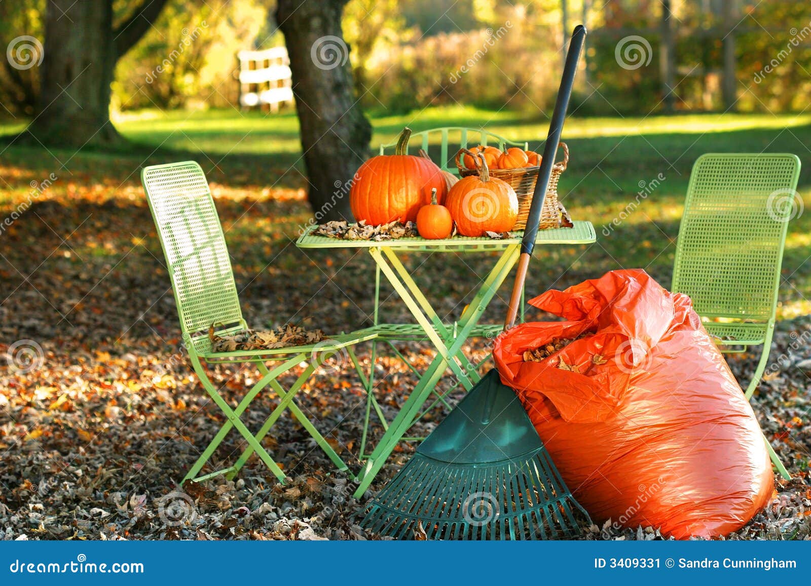 Raking autumn leaves stock image. Image of detail, rural - 3409331