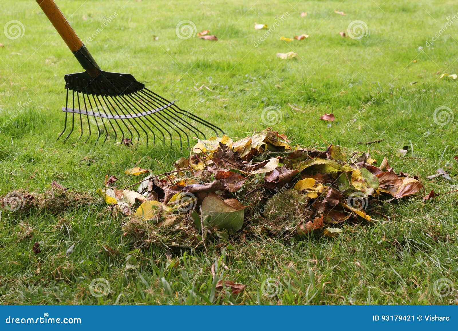 Raking Autumn Leaves stock image. Image of october, garden - 93179421
