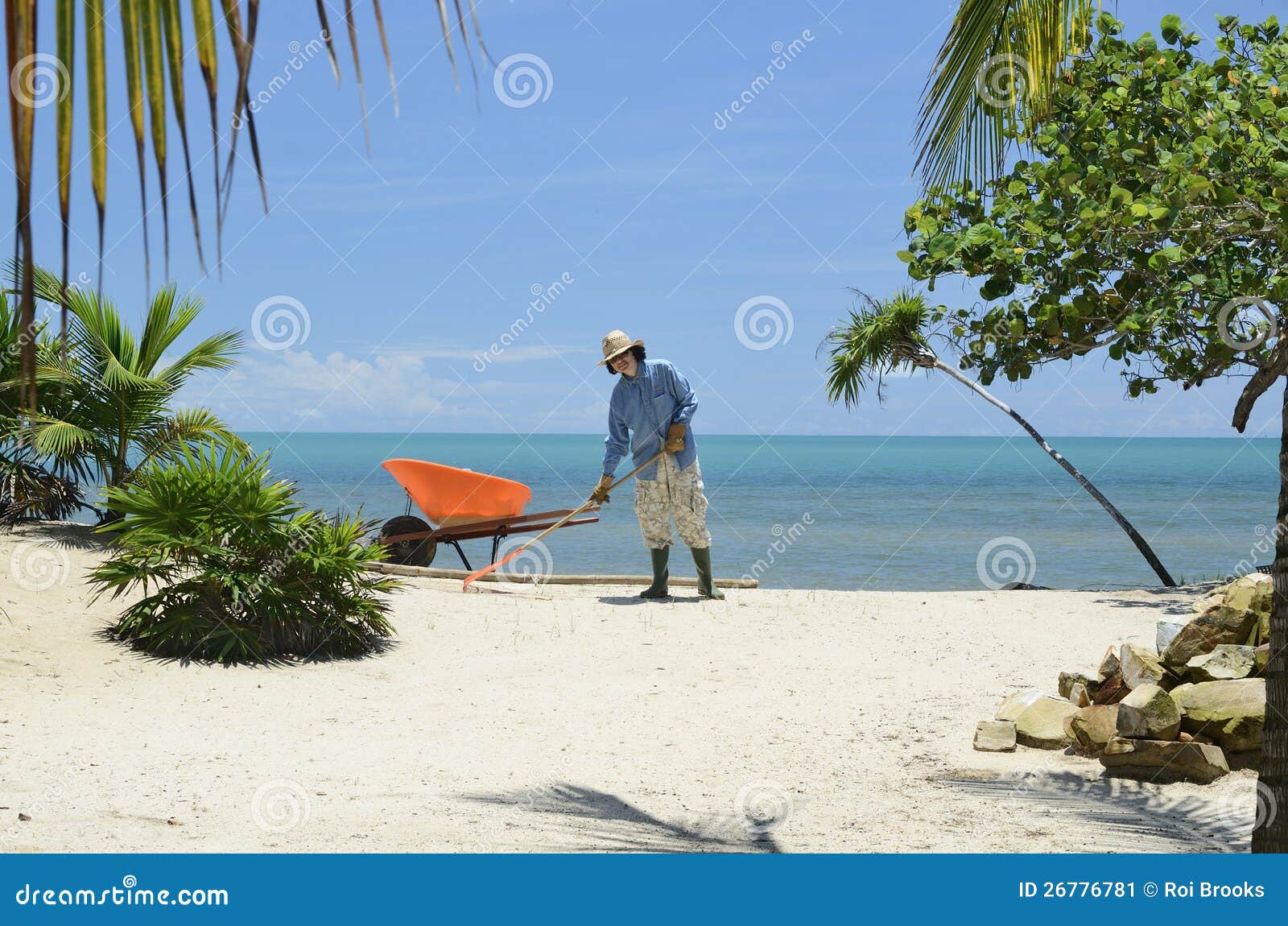 Raking the beach stock image. Image of lady, female, wheelbarrow - 26776781