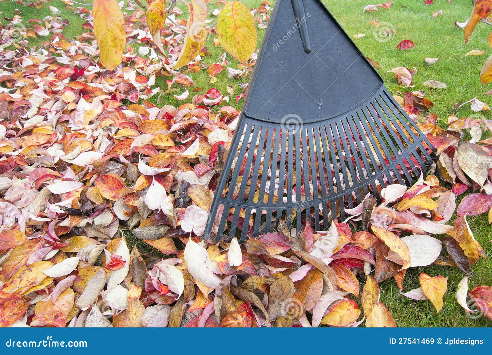 Raking Fall Leaves in Garden Closeup Stock Image - Image of cleanup ...