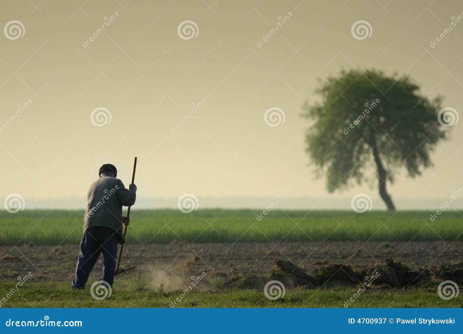 Raking farmer stock image. Image of brown, fresh, horizontal - 4700937