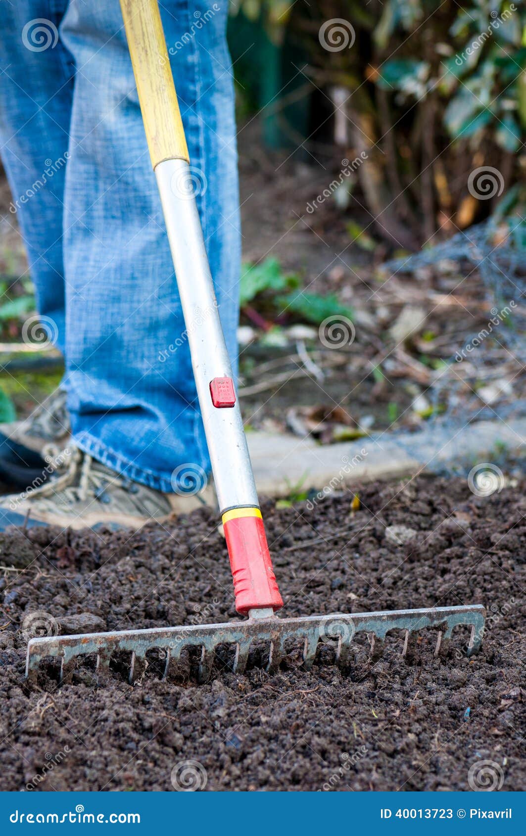 Raking the Garden stock image. Image of gardener, field - 40013723