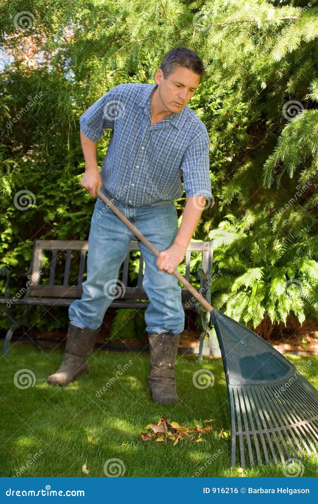 Raking gardener stock photo. Image of maintenance, home - 916216