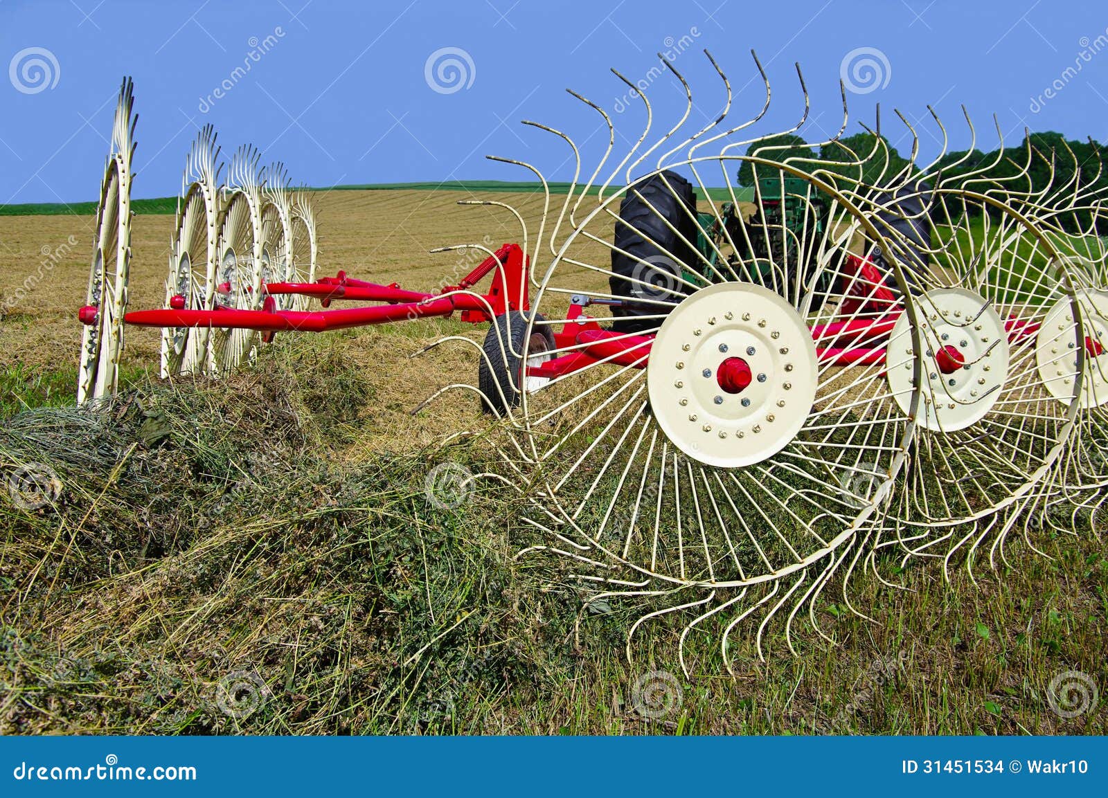 Raking Hay stock photo. Image of pulled, agriculture - 31451534