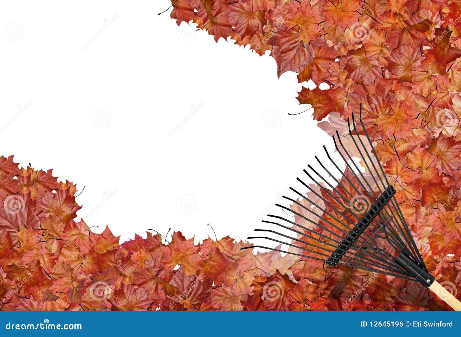 Raking leaves stock photo. Image of leaf, season, equipment - 12645196