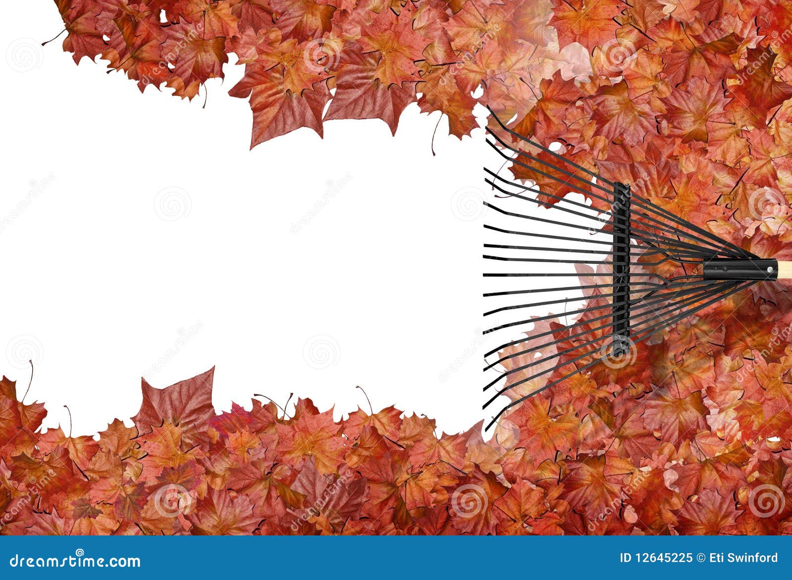 Raking leaves stock image. Image of leaves, lawn, white - 12645225