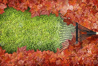 Raking leaves stock image. Image of lawn, frame, landscaper - 15607231