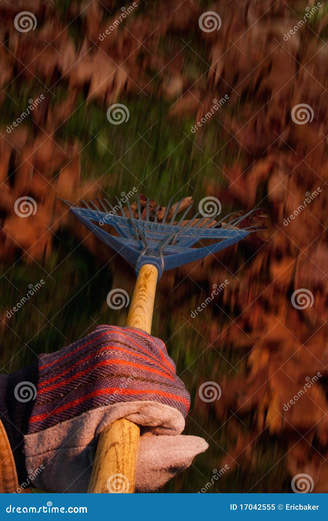 Raking Leaves stock image. Image of fall, motion, gardening - 17042555
