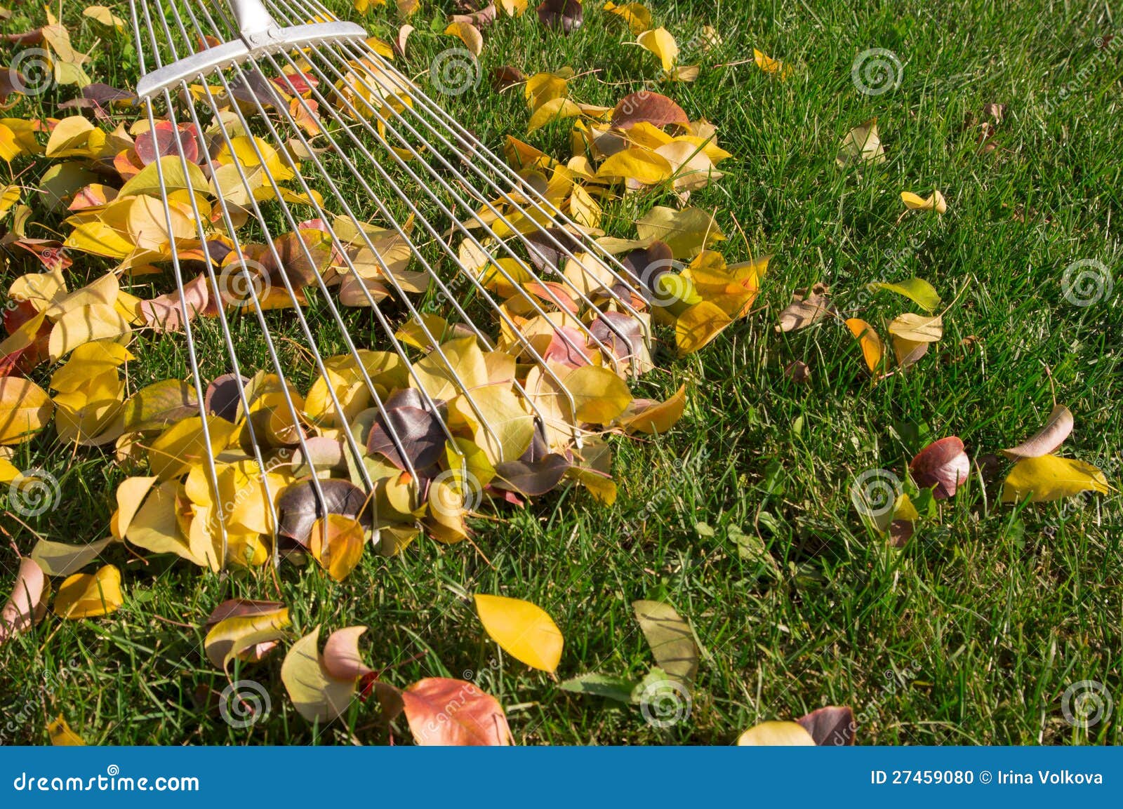 Raking the leaves stock photo. Image of orange, gardening - 27459080