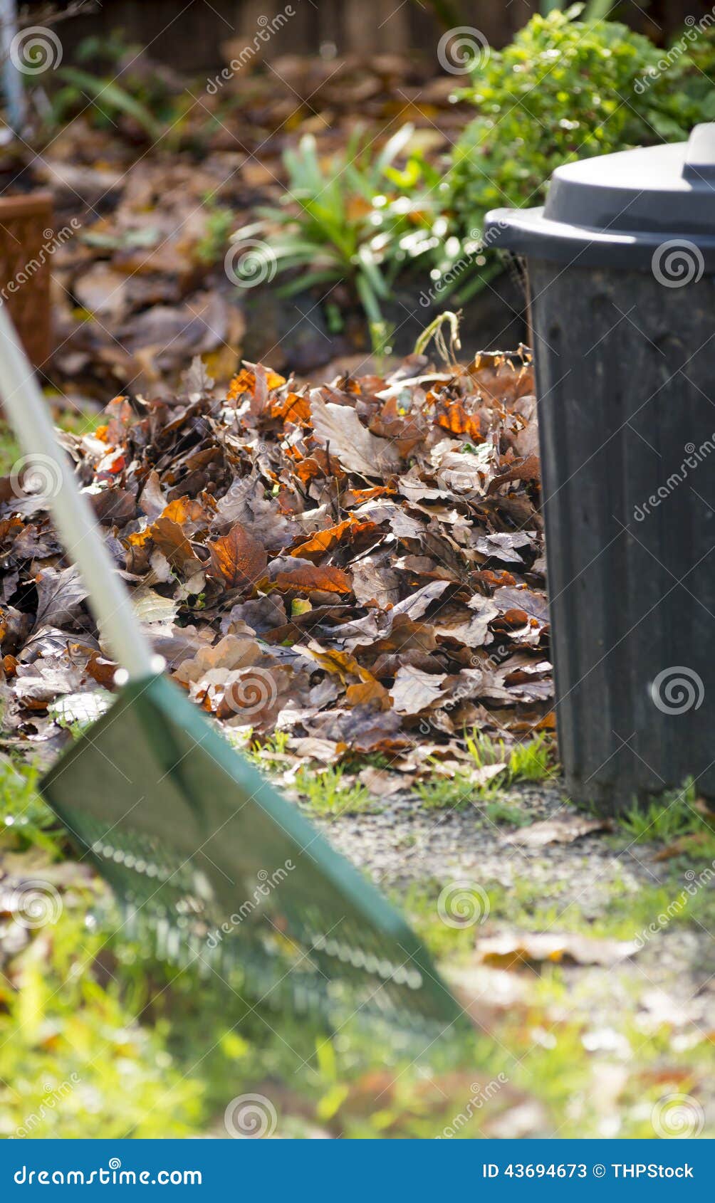 Raking Leaves stock image. Image of leaves, landscaping - 43694673