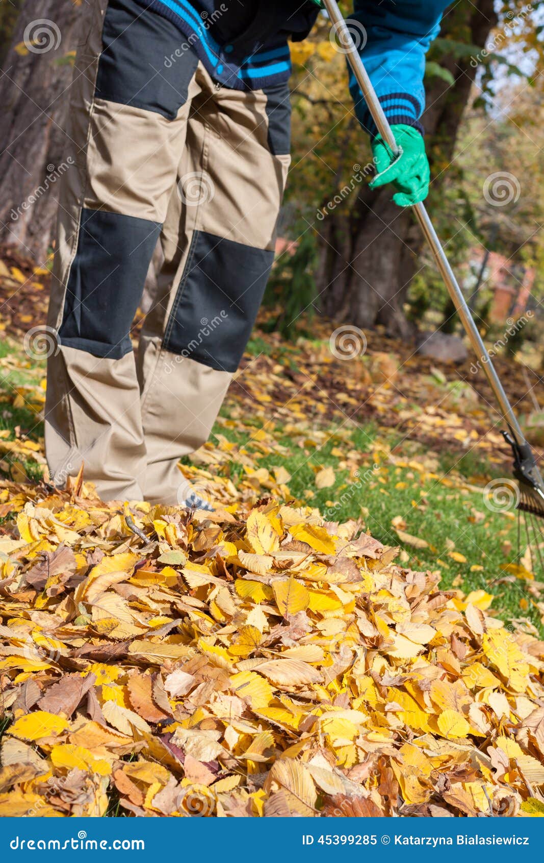 Raking the Leaves during Autumn Time Stock Image - Image of ...