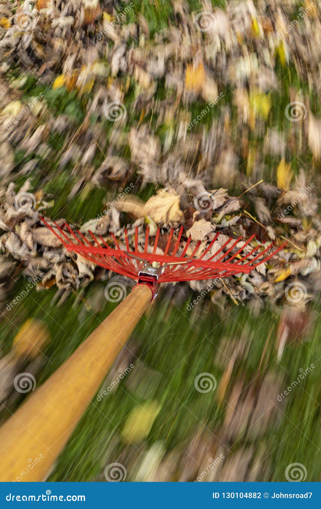 Raking Leaves Fast stock photo. Image of fast, abstract - 130104882