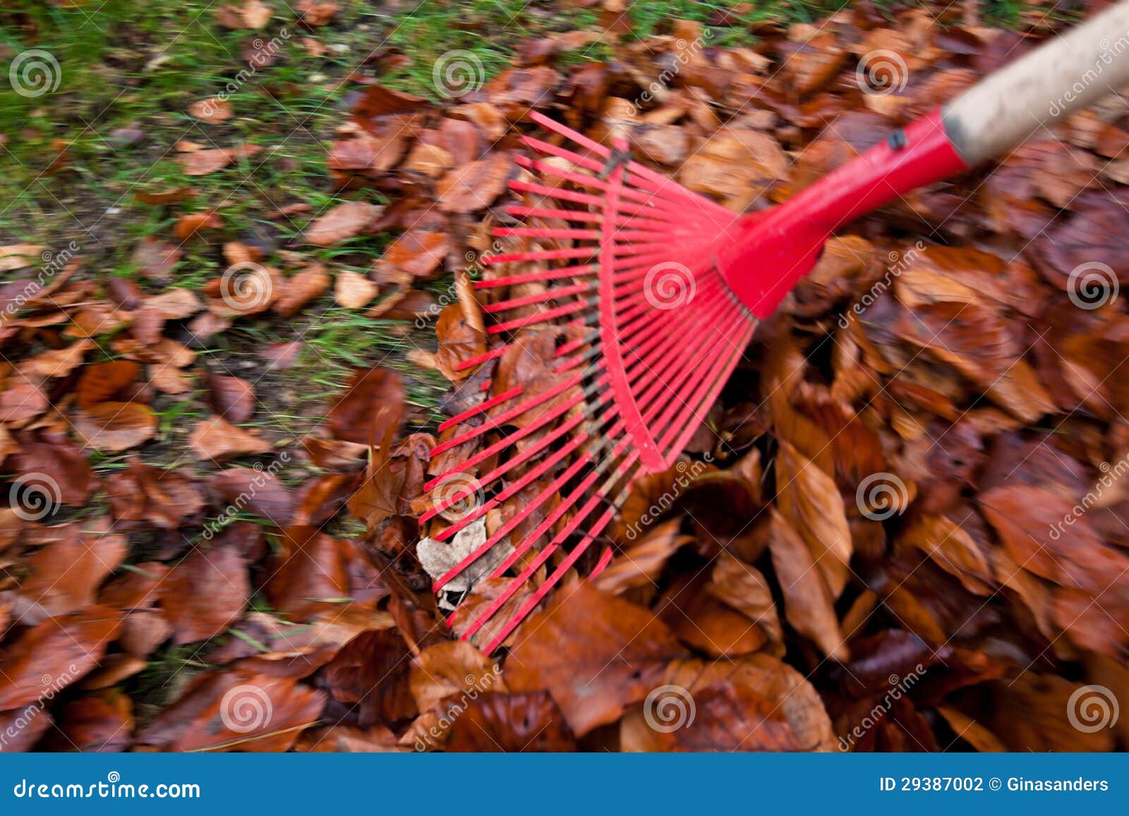 Raking Leaves. Remove Leaves Stock Photo - Image of broom, leaf: 29387002
