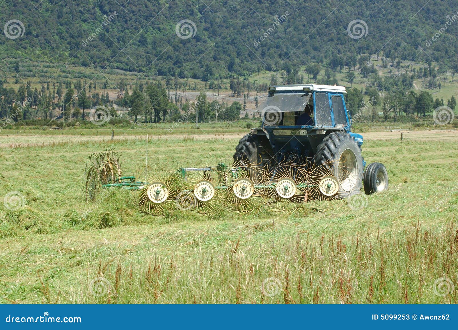 Raking pasture stock image. Image of growing, mowers, machines - 5099253