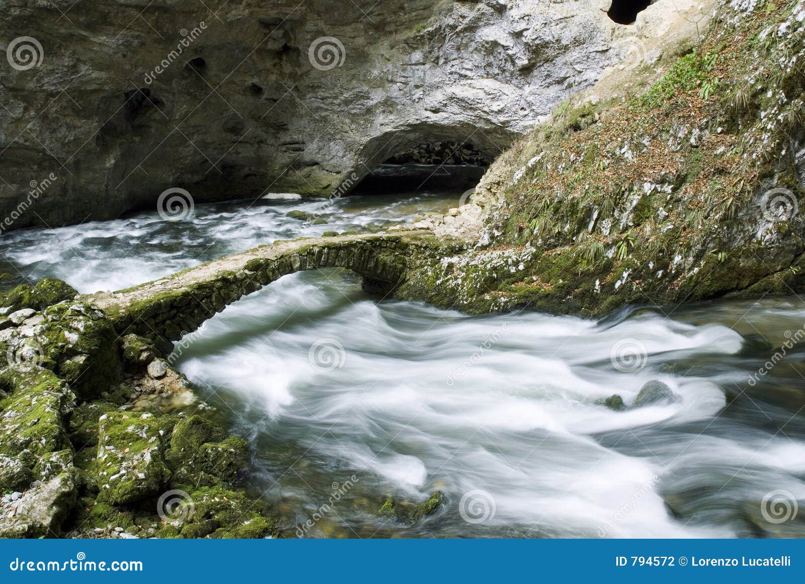 Rakov Skocian River stock photo. Image of park, reflecting - 794572
