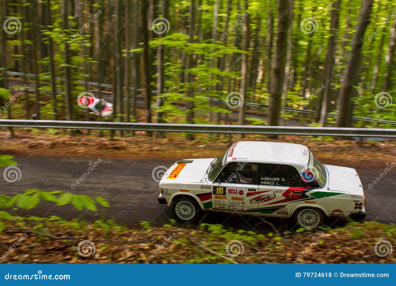 Rally Car Szekesfehervar Hungary Editorial Stock Photo - Image of ...