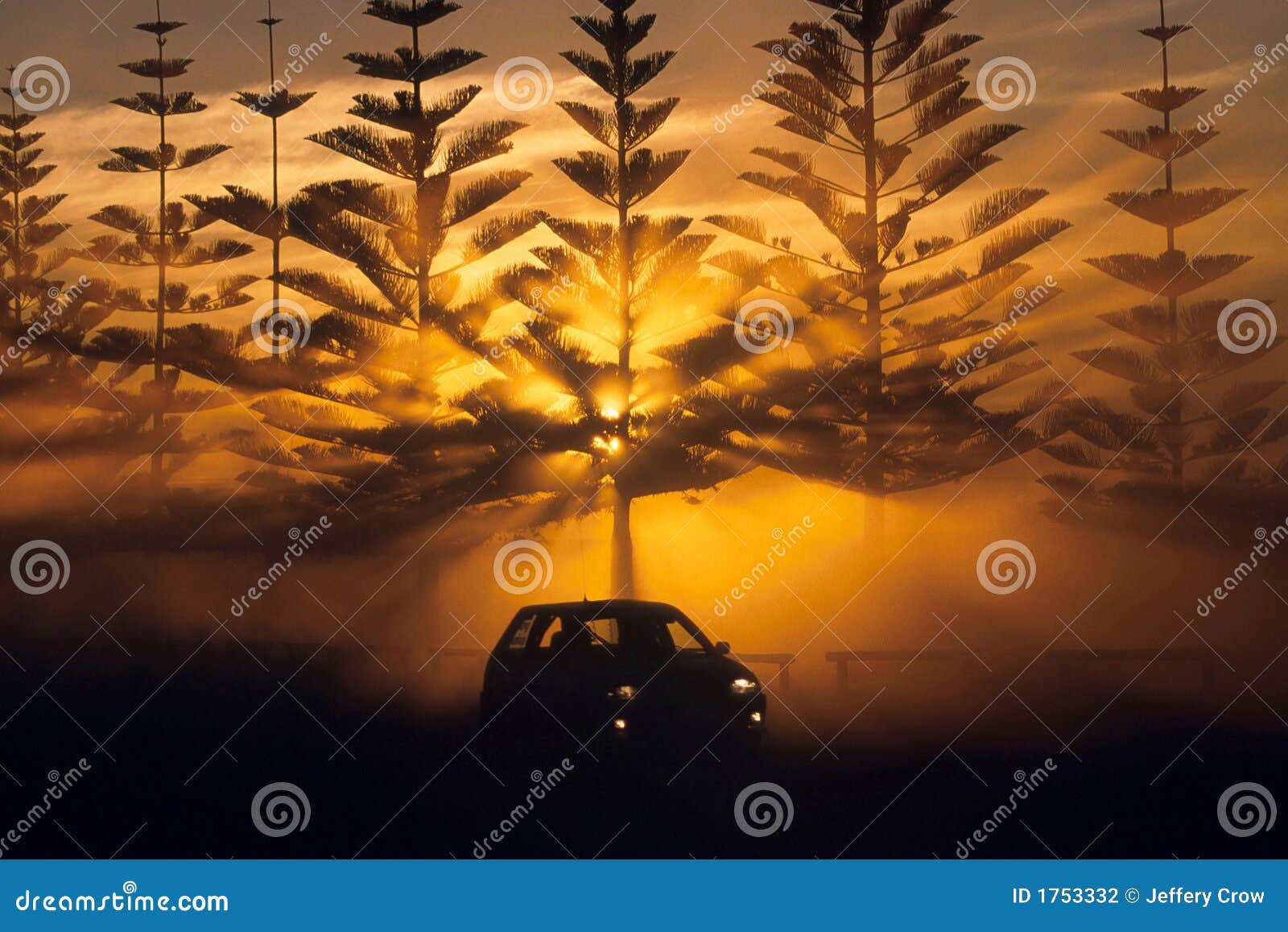 Rally Sunset stock photo. Image of sport, scenic, sunset - 1753332